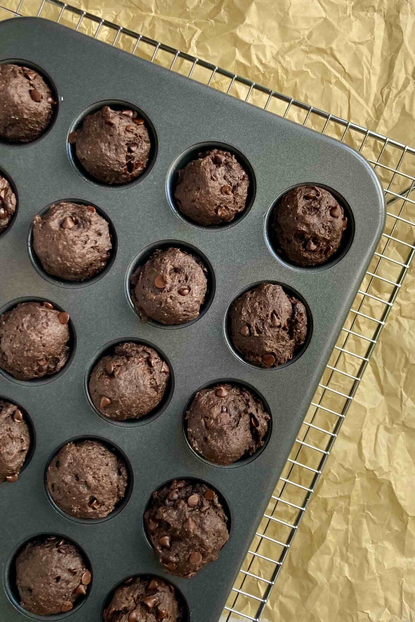 Double Chocolate Flaxseed Mini Muffins