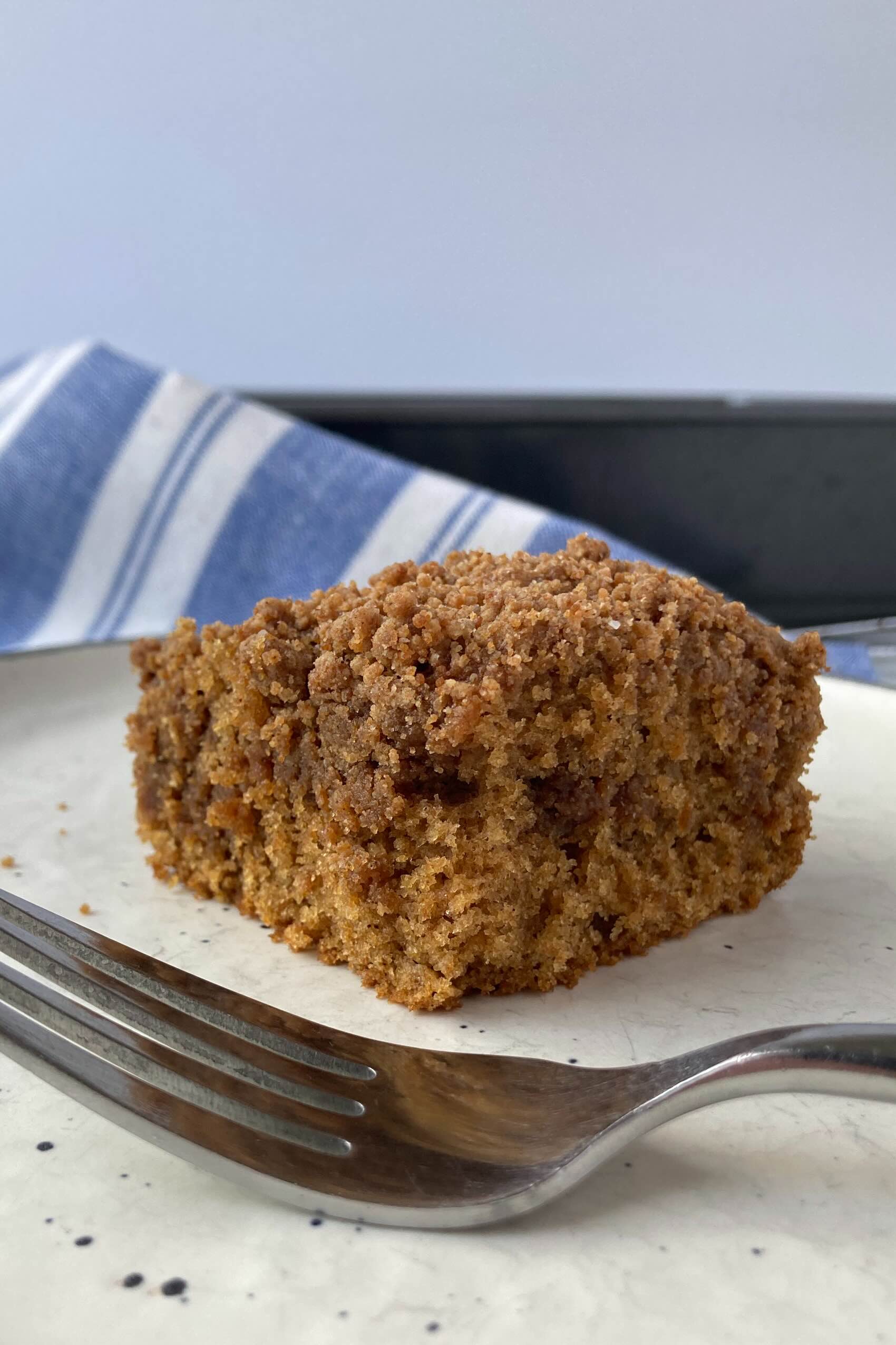Whole Wheat Cinnamon Snack Cake